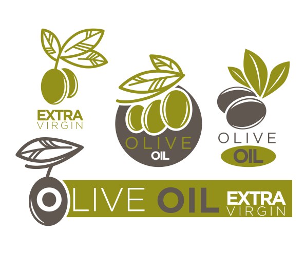 Olive oil logo design Royalty Free Vector Image