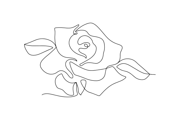 Rose One Line Drawing Vector Images (over 1,800)