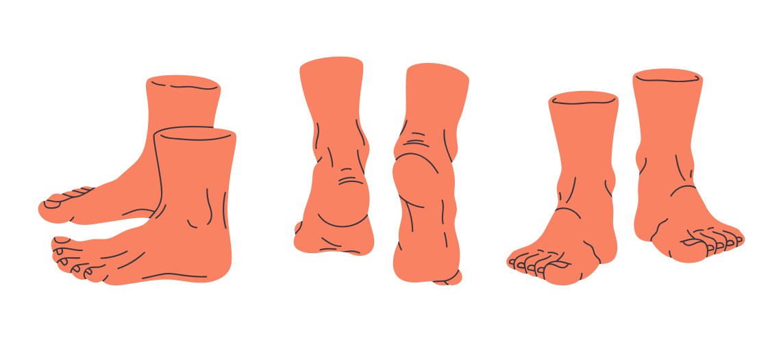 Human barefoot legs bare feet in different Vector Image