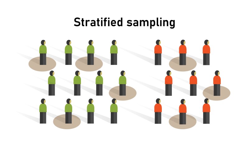Purposive sampling sample taken from a group Vector Image