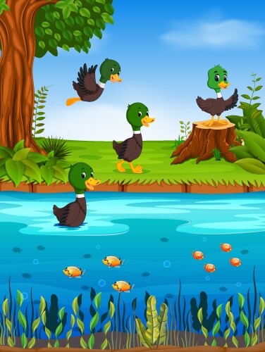 Duck Vector Images (over 62,000)