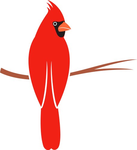 Cardinal Vector Images (over 5,000)