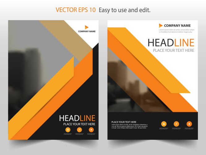 Orange hexagon annual report brochure design Vector Image