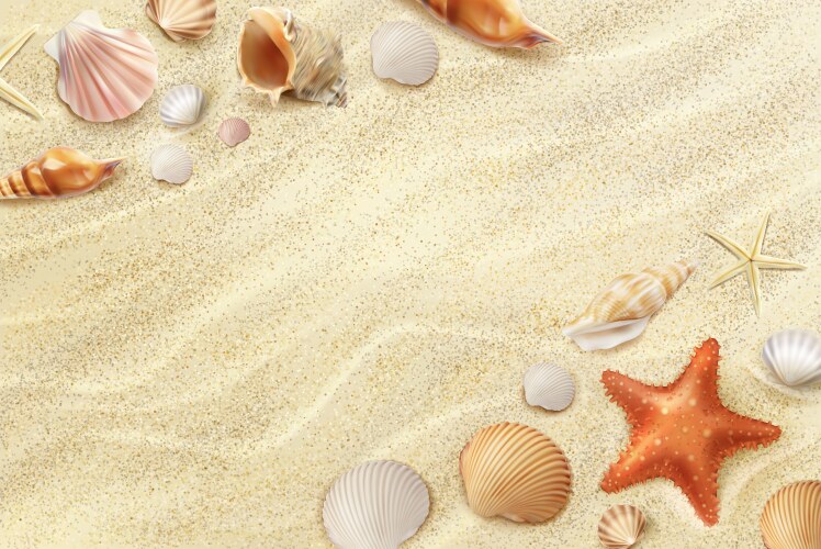 Beach Shells Vector Images (over 31,000)