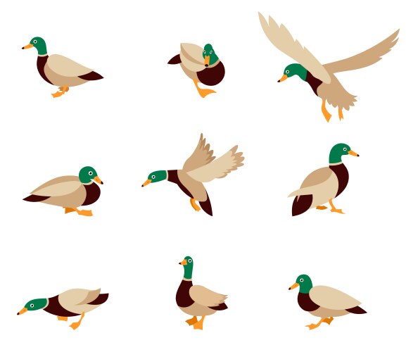 Flying bird animation Royalty Free Vector Image