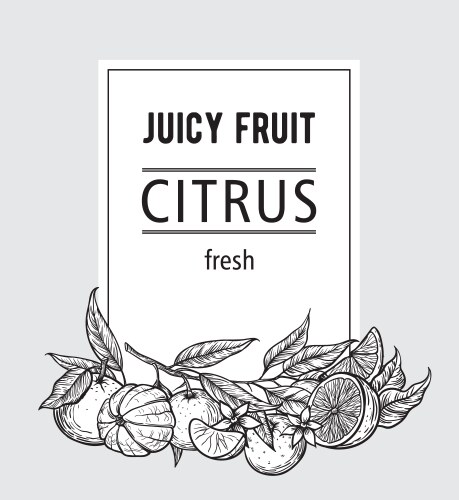 Hand drawn citrus fruits branches Royalty Free Vector Image