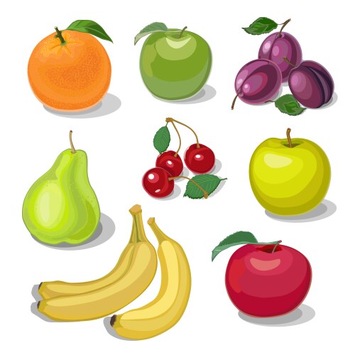 Purple mangosteen fruit Royalty Free Vector Image