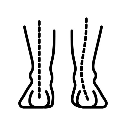 Ankle Vector Images (over 10,000)