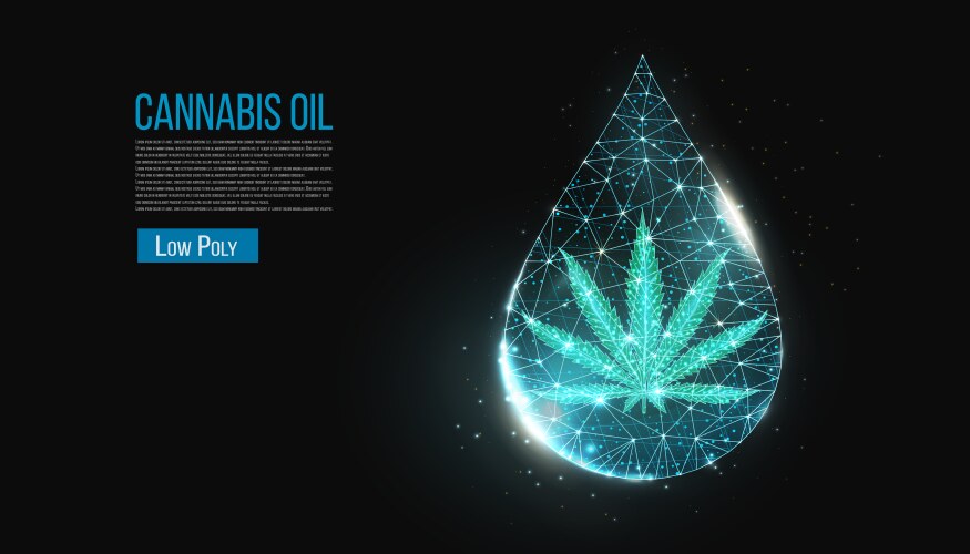 Oil drop with dollar sign from lines and particle Vector Image