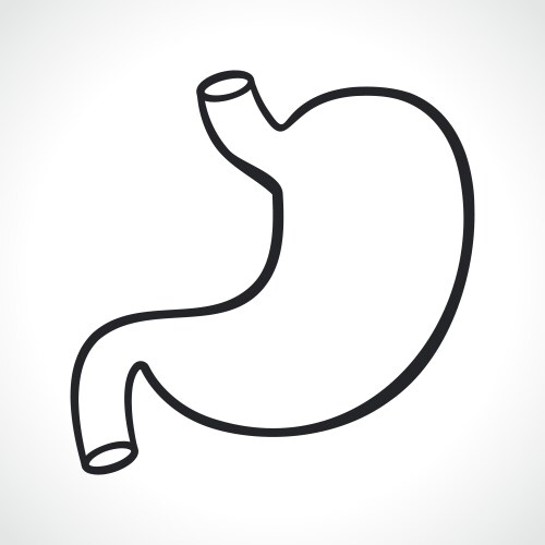 Stomach Drawing White Vector Images (over 2,700)