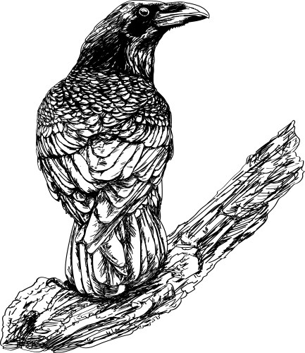 Raven Vector Images (over 9,800)