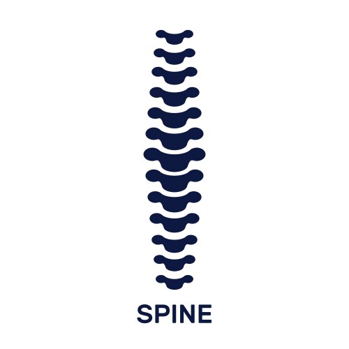 Spine Vector Images (over 32,000)