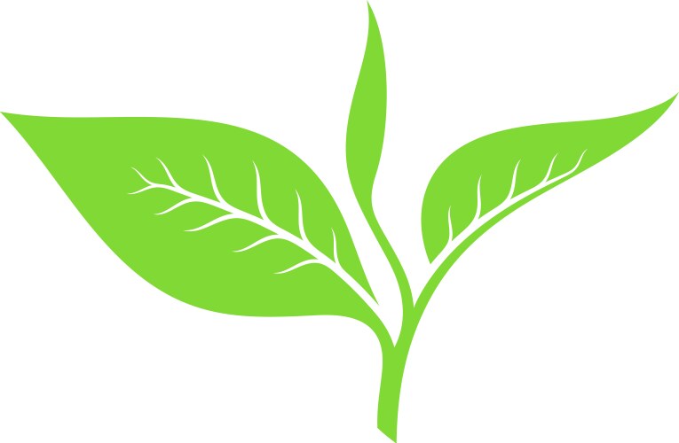 Free Leaf Vector Images (over 73,000)