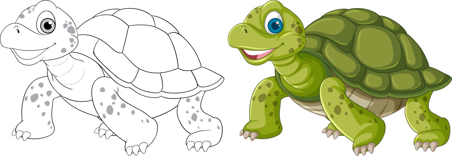 Turtle Cartoon Drawing Vector Images (over 7,300)