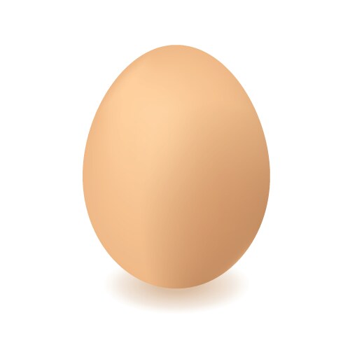 Chicken egg Royalty Free Vector Image - VectorStock