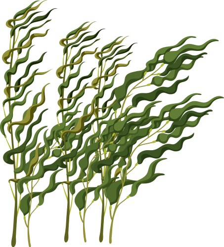 Kelp Vector Images (over 2,700)