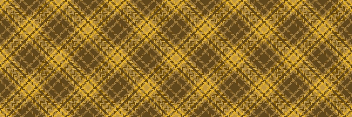 Gentle fabric pattern plaid latin texture Vector Image