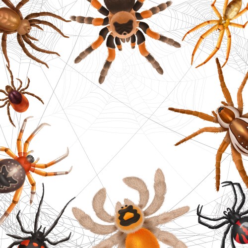 Realistic spider mite stop concept Royalty Free Vector Image