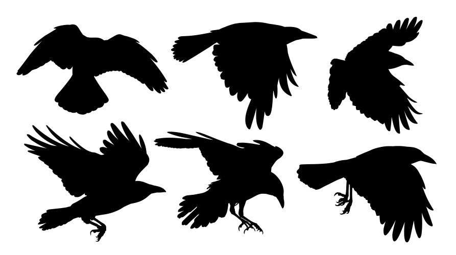 Ravens Vector Images (over 8,000)