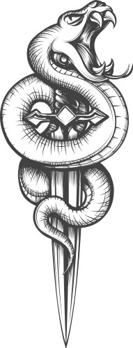 Hand drawing snake wrapped around dagger tattoo Vector Image