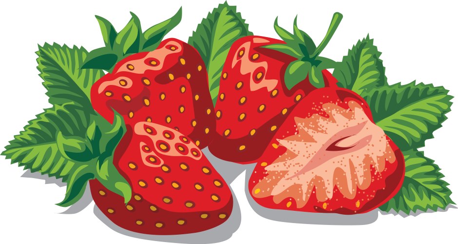 Raspberries blueberries and strawberries Vector Image