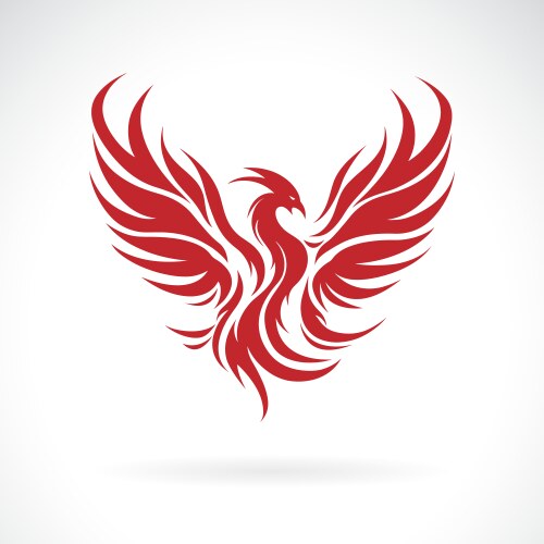 Phoenix Bird Vector Images (over 19,000)