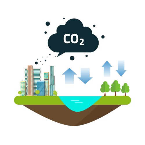 Carbon cycle diagram for science education Vector Image