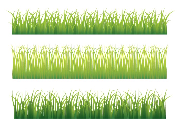 Green grass borders isolated white background Vector Image