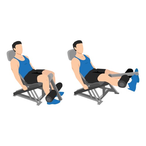 Leg Extension Machine Vector Images (50)