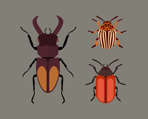 Insect icon flat isolated nature flying bugs Vector Image