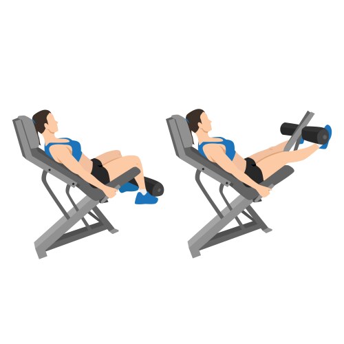Leg Extension Machine Vector Images (50)