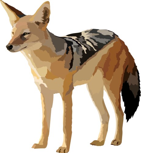 Cute jackal cartoon animal Royalty Free Vector Image