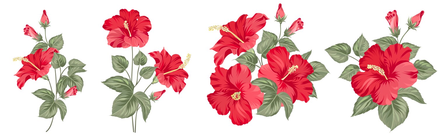 Hibiscus Border Vector Images (over 1,700)