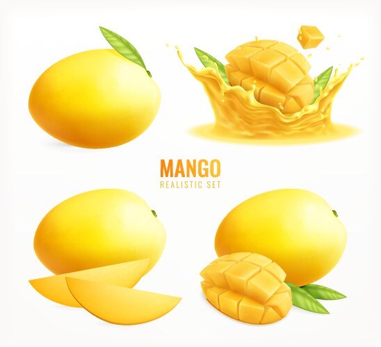 Mango realistic Royalty Free Vector Image - VectorStock