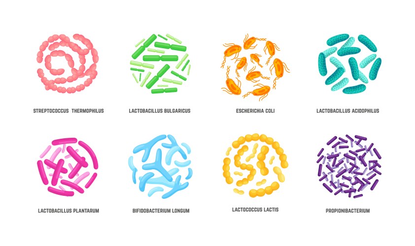 Probiotic Vector Images (over 7,900)