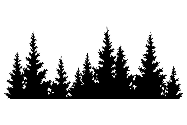 Fir trees silhouette coniferous spruce horizontal Vector Image