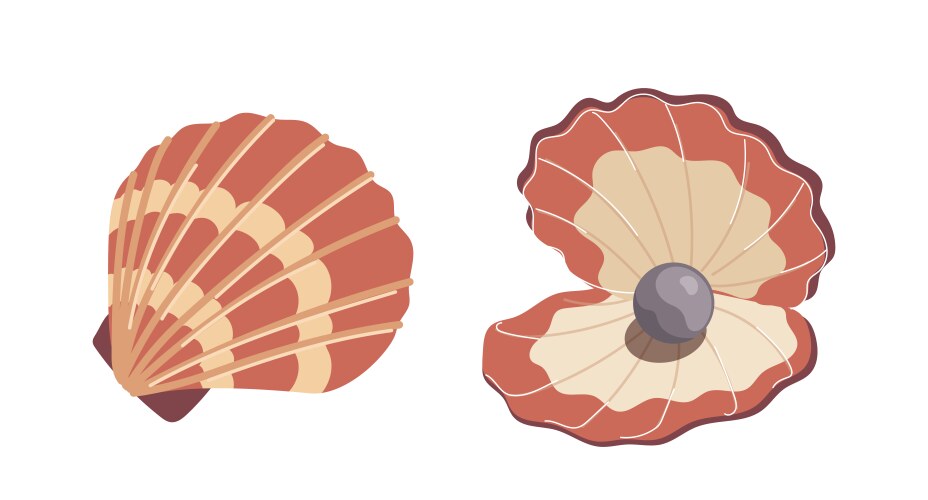 Scallop Shape Vector Images (over 5,500)