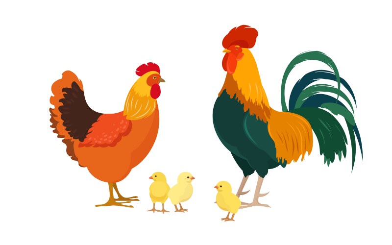 Chickens Vector Images (over 200,000)