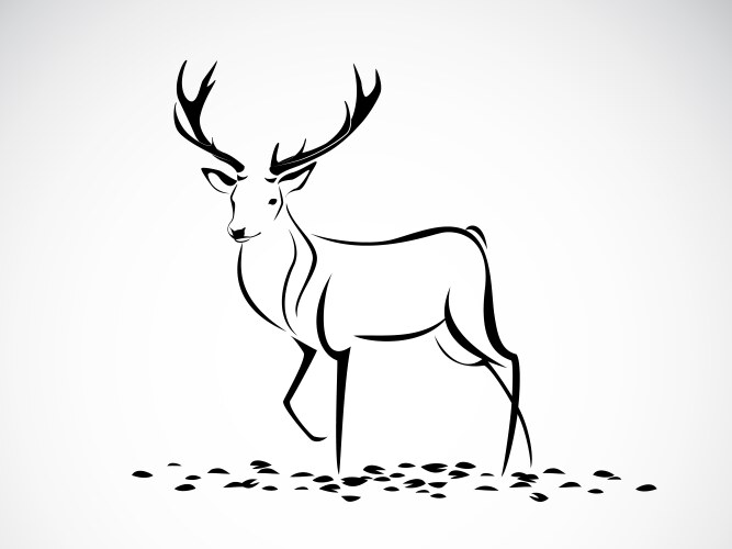 Deer Line Drawing Vector Images (over 21,000)