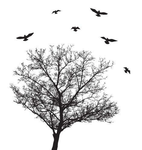 Trees and birds Royalty Free Vector Image - VectorStock