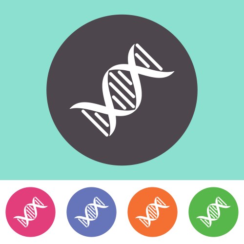 Dna replication icon genetics Royalty Free Vector Image