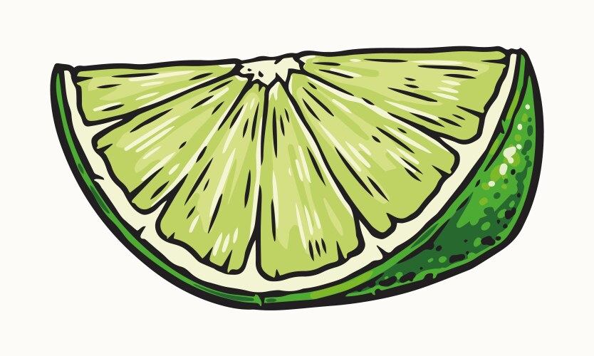 Lime Vector Images (over 240,000)