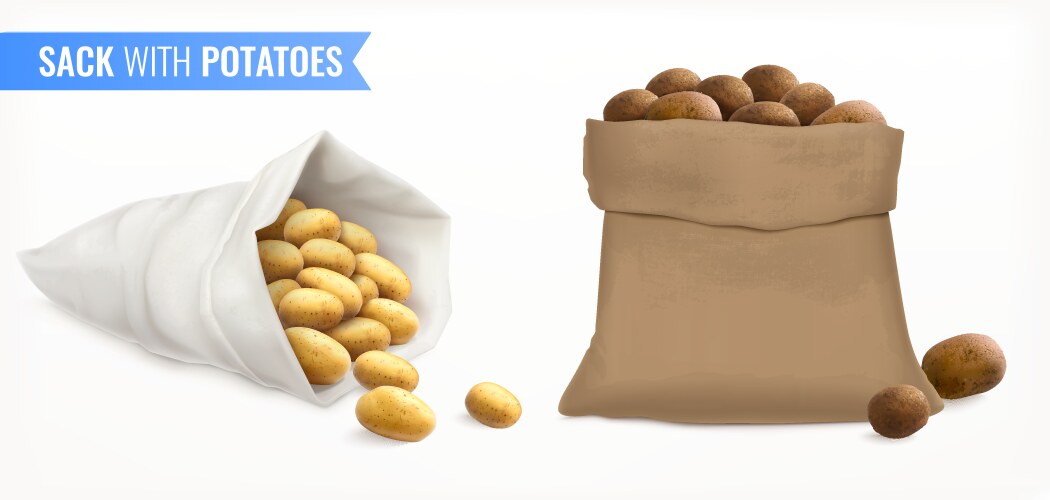 Potato sack Vector Images & Graphics for Commercial Use | VectorStock