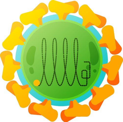 Encephalitis Vector Images (over 1,600)