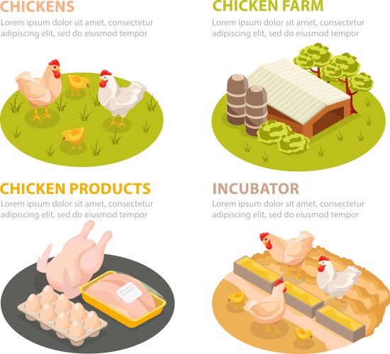 Poultry farm isometric flowchart Royalty Free Vector Image