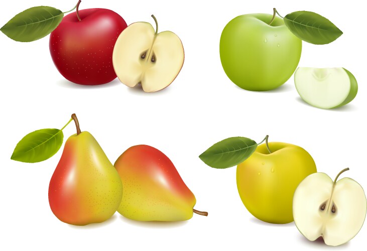 Apples Vector Images (over 220,000)