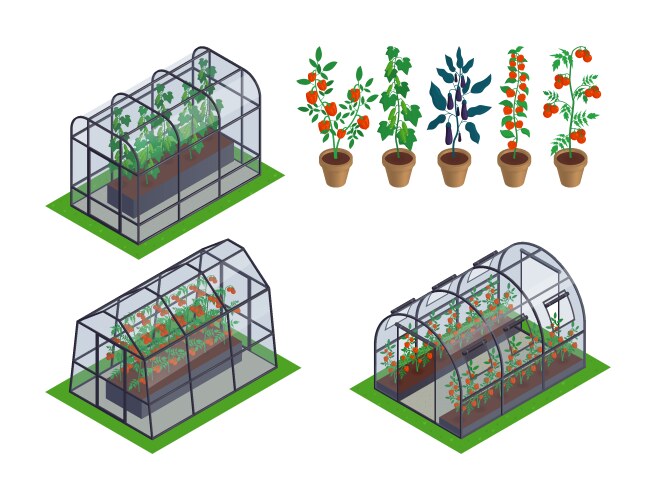 Isometric greenhouse modern smart icon set Vector Image