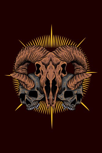 Half human skull Royalty Free Vector Image - VectorStock
