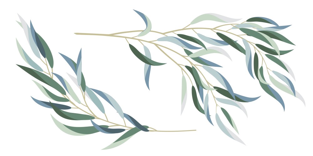 Eucalyptus Vector Images (over 20,000)