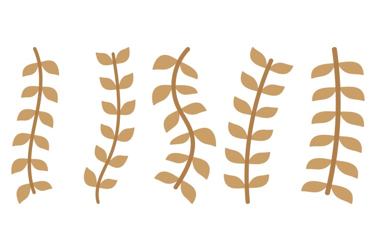 Flower vine icon set botanical decoration Vector Image